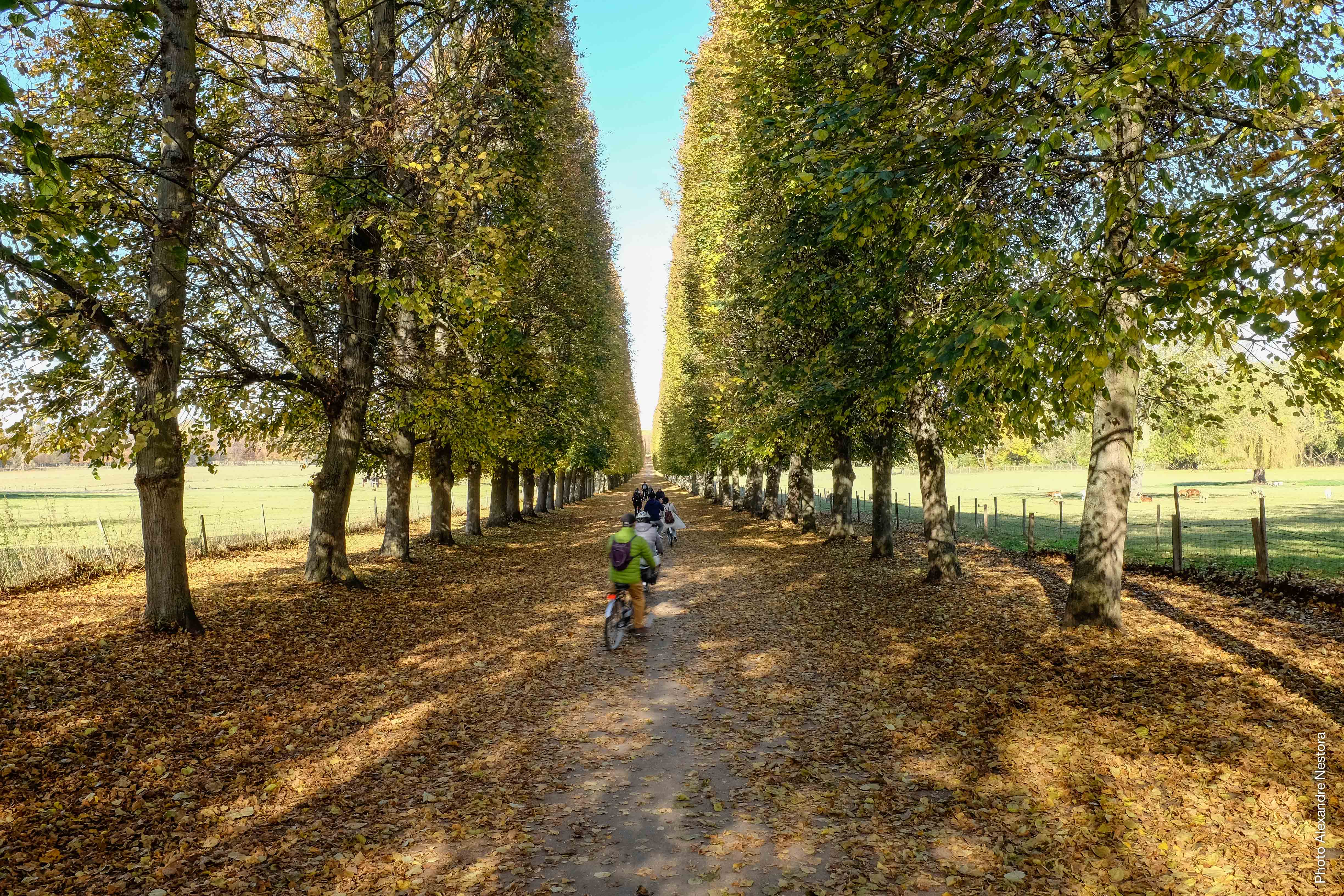 Visiting Versailles Grand Parc in autumn | Destination Versailles Grand ...